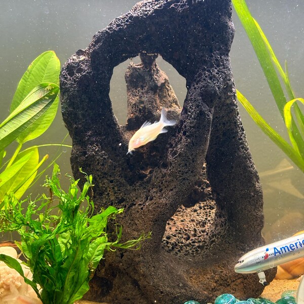 Soundrise PRO-5 Sound Absorbing Speaker Riser Stands - Aluminum ...