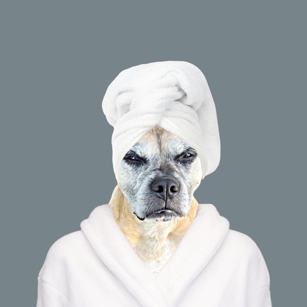 Custom Pet Portraits Set of 3, Pet in Bathtub, Funny Bathroom Art Print ...