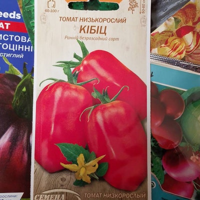 Melon Seeds Ukraine Heirloom Vegetable Seeds Ineya 166 - Etsy