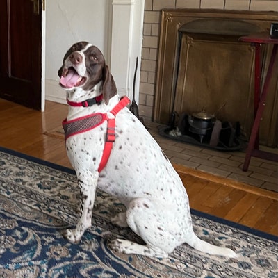 Football Retirement Card, Football, Chelsea, Liverpool, Everton ...