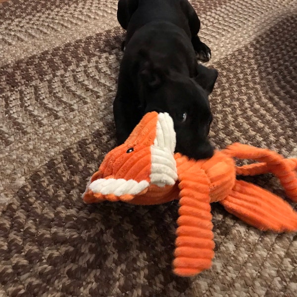 Country Living Elevated Mango Wood Dog Feeder With 2 Stainless Steel ...