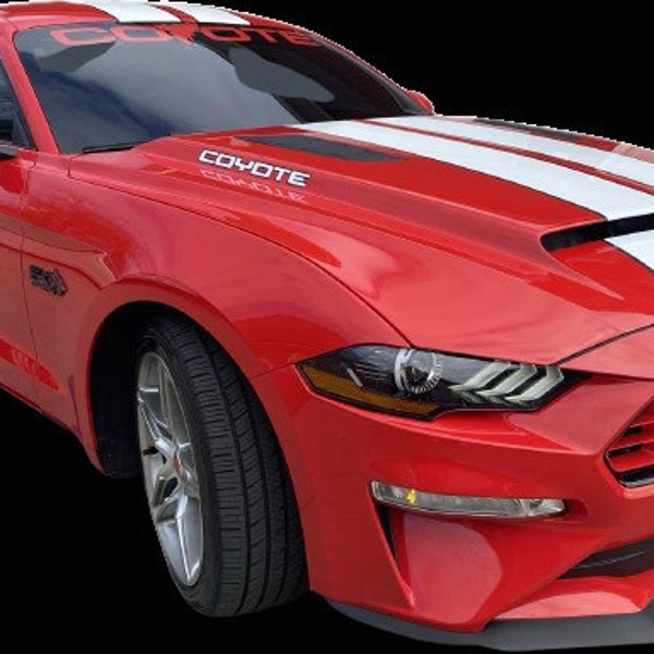 Mustang GT 2-tone Coyote Decal (pair) - Etsy