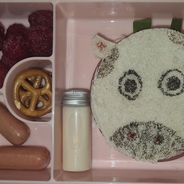 BUSHCRAFT SPICE SET, Travel Spices Set, Spice Storage, Campfire Spices ...