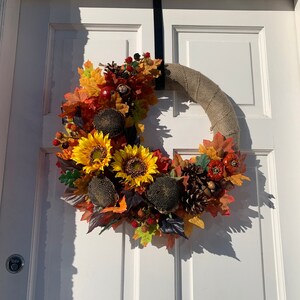 Dried Conkers Conkers in Shells dried Natural Conkers | Etsy