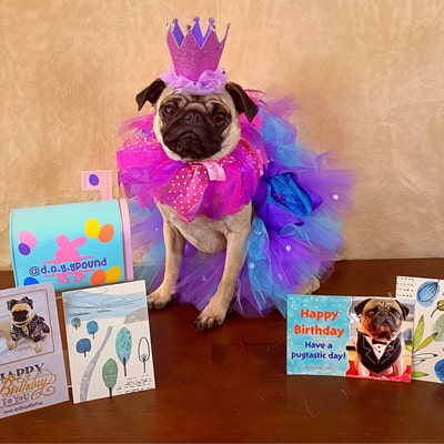 Dog Tutu: TURQUOISE BLUE & PURPLE Small / Medium / Large / - Etsy