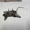 Spiked Barricade D&D Dnd Dungeons and Dragons Wargaming 3D Printed ...