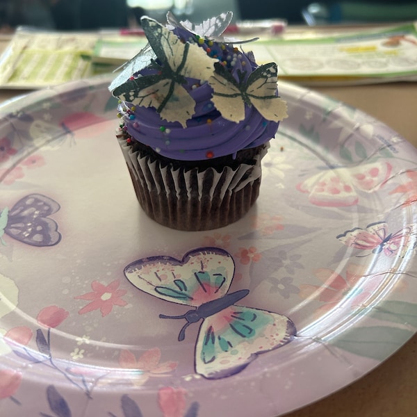 Mini Edible Butterflies for Cookies Cake Cupcakes Macarons Drinks and ...