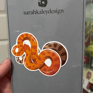 Hognose Conda Stickers 6 Morphs Normal, Albino, Toffee/carmel, Snow ...