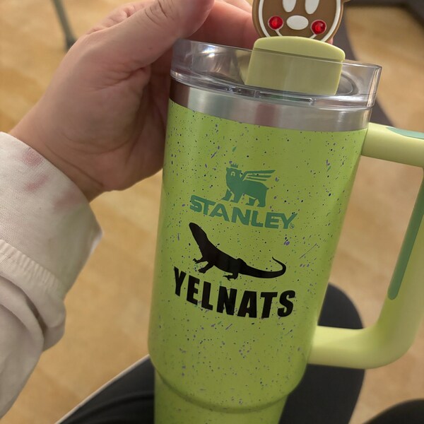 YELNATS Cup Decal Holes Stanley Yelnats Cricut Vinyl Tumbler Sticker - Etsy