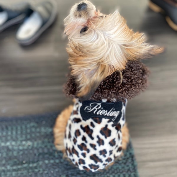 Handmade Luxurious Personalized Bone Fur Coat for Dogs With Tailoring ...