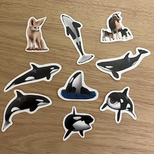 Orca Magnet Set Killer Whale Waterproof Vinyl Magnets for Refrigerator ...