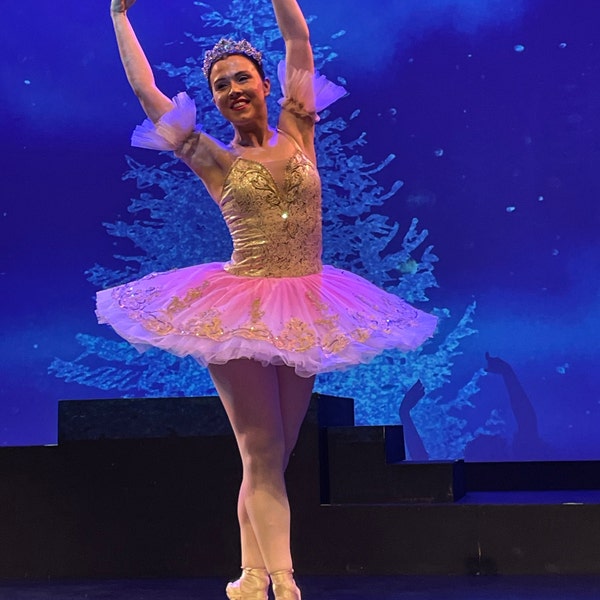 Pink Platter Tutu, Tutu, Professional Tutu, Child’s Tutu, Girl’s Ballet ...