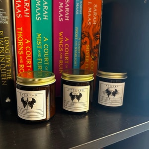 Crescent City Poster Art Print Lunathion HOEAB Bookish Gift Booktok ...