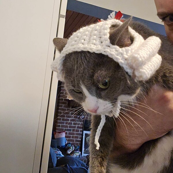 Powdered Wig, Hats for Cats, Barristers Wig, Judge Wig, Pet Costumes ...