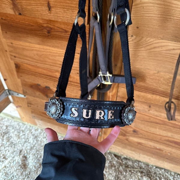 Slobber Straps Floral Tooled, Medium Saddle Oil. for Mecate Reins ...