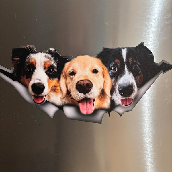 Chicken Window Decal, Chicken Car Decal, Funny Chicken Sticker - Etsy