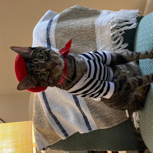Complete French Cat Outfit Cat Beret, Ascot and Striped Shirt Pet ...