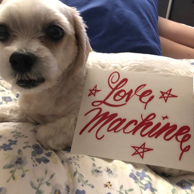 The Love Machine Vinyl Decal/cheech and Chong/up in Smoke/vinyl Sticker ...