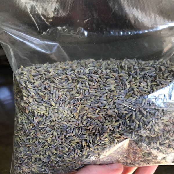 Organic Bulk Dried Lavender .ultra Blue, Rich Fragrance.fresh Scent for ...