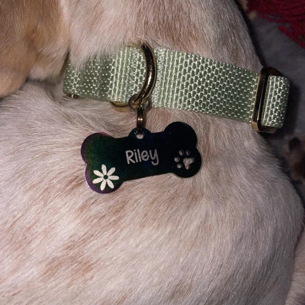 Cute Dog Tag Personalized for Dog, Custom Bone Dog Tags, Dog Name Tags ...