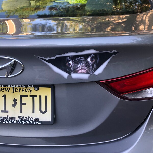Pug Sticker, Pug Car Decal, Vinyl Decal, Car Decoration, Pet Decal, Dog ...