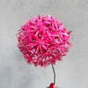 Paper Flower Template, Giant Allium for Cutting Machines SVG, DXF - Etsy