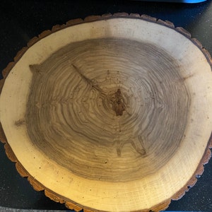 Alder Forked Poles One Pole - Etsy