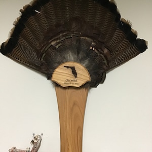 Turkey Tail/wing Mount. - Etsy