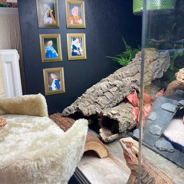 OldWorldPetPortraits - Etsy