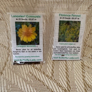 Hollyhock alcea Rosea Indian Spring Mix Packet of 25 Seeds With FREE ...