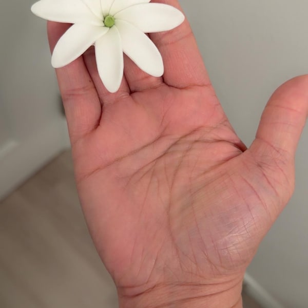 Tiare Foam Flower, Ear Flower, Hair Pick / Adult Size 2.5" Kid's Size 1 ...