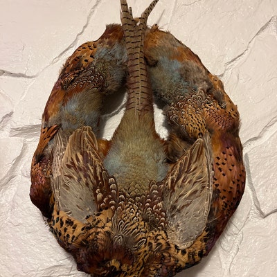 Pheasant Feather Deer Antler Tree Topper - Etsy