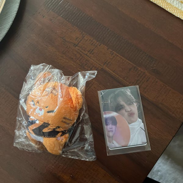 Enhypen Jungwon Doll | Jungwon Fanmade Plushie | Jungwon | Heeseung ...