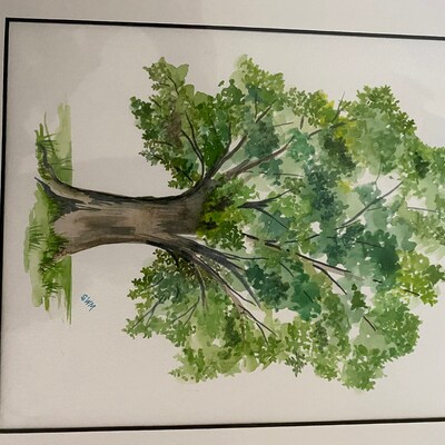 Watercolor State Tree of Virginia, State Tree of Missouri, Flowering ...