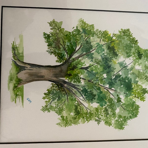 Watercolor State Tree of Virginia, State Tree of Missouri, Flowering ...