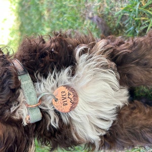 Dog Tag, Sun Tag, Dog Tags for Dogs, Personalized Dog Tag, Pet Id Tag ...