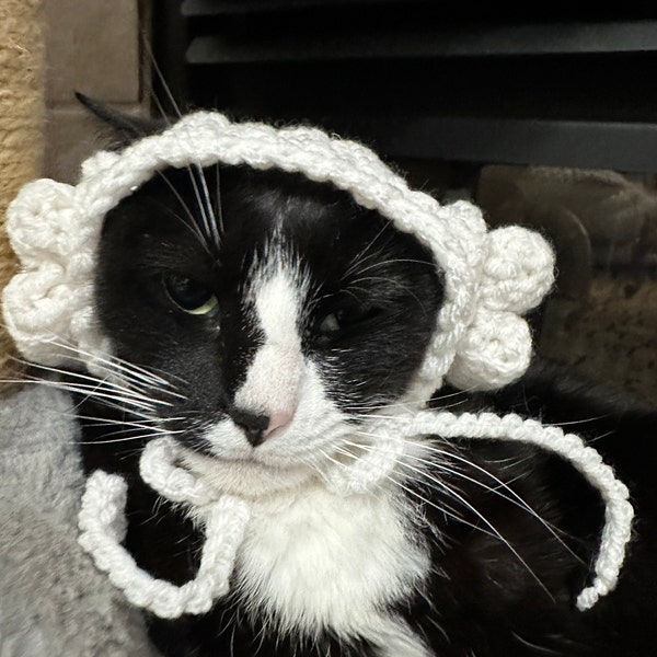 Powdered Wig, Hats for Cats, Barristers Wig, Judge Wig, Pet Costumes ...