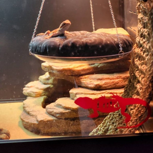 Bearded Dragon Lizard Pillow Swing; Papasan Style, Multiple Sizes ...