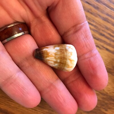 Hawaii String Art Oahu - Etsy