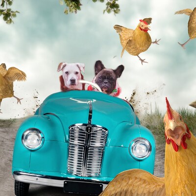 2 PACK Joy Ride Digital Background / Valentines Customizable - Etsy