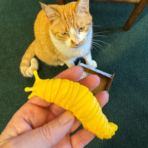 Graduation Tray Grad Charcuterie Tray Fillable Letter Wedding Birthday ...