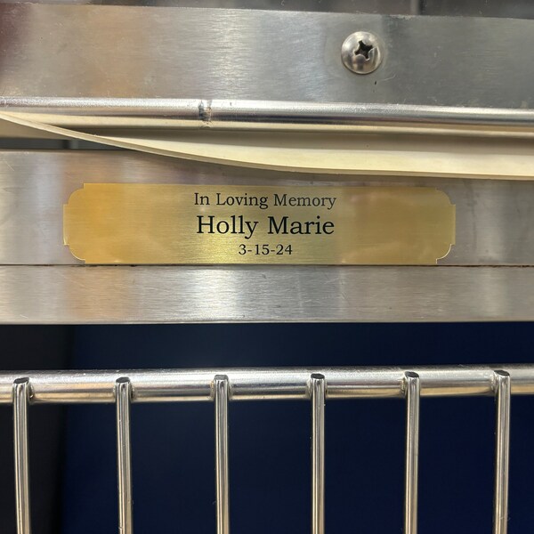 Fancy Silver Engraved Plate - Metal Name Sign - Picture Frame Plate ...