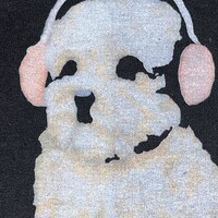 Joeyy Photo T-shirt Tee Y2K Meme Shed Theory 1MAN Shadow Wizard Money ...