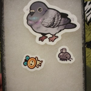 Fluffy Pigeon Sticker / Bird Water Bottle Sticker / Cute Bird Laptop ...