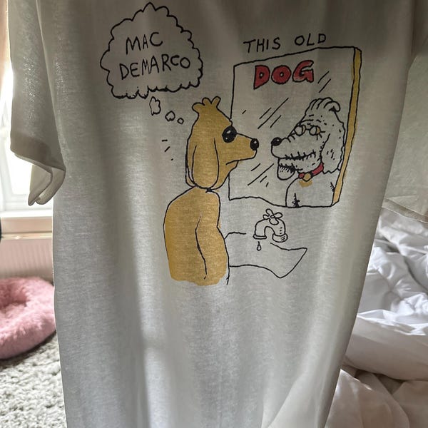 Beabadoobee Exclusive T-shirt Unisex Music Artist Merch Indie Music ...