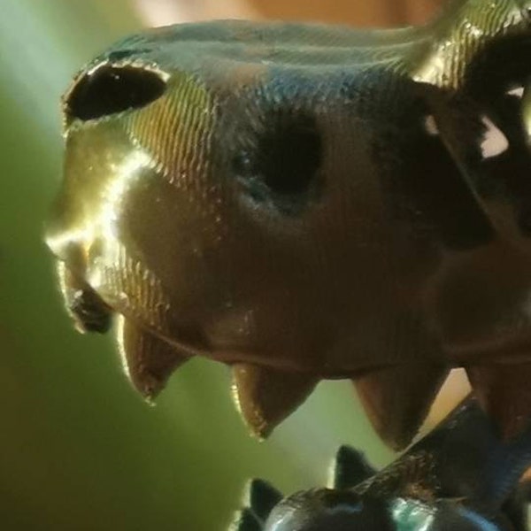 Flexi Print-in-place Fish STL File for 3D Printing Active - Etsy