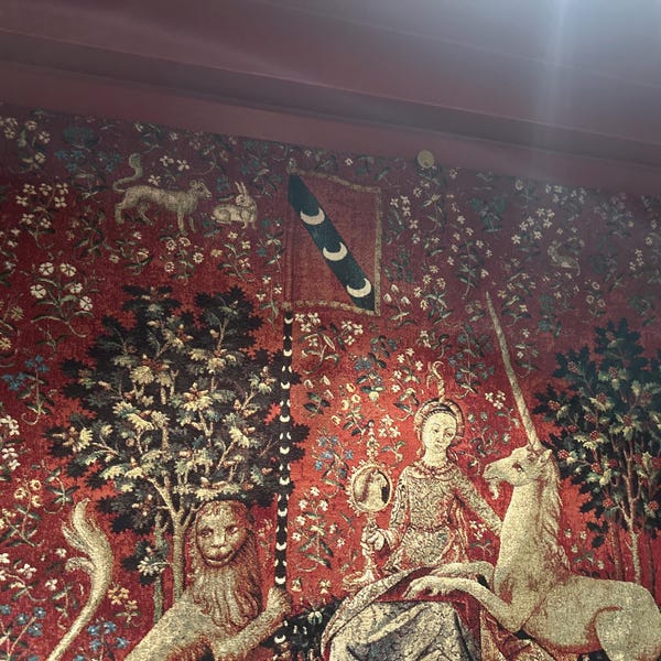 A1 A2 A3 A4 Clear Art Work Carry CASE Portfolio Art File Folder School ...