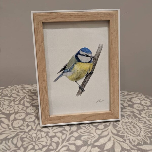 MOUSE PAINTING: Print of an Original Watercolour by Jan Taylor, 'A Pair ...