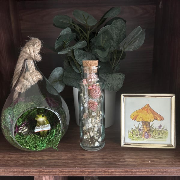 Flower Market Terrarium: Dried Flowers, Bookshelf & Boho Decor, Glass ...