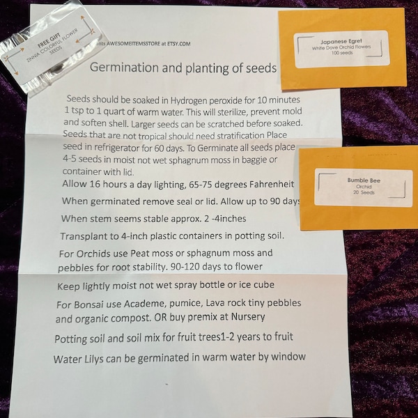 100 White Dove Orchid Flower Seed and 20 Laughing Bumblebee Seed High ...